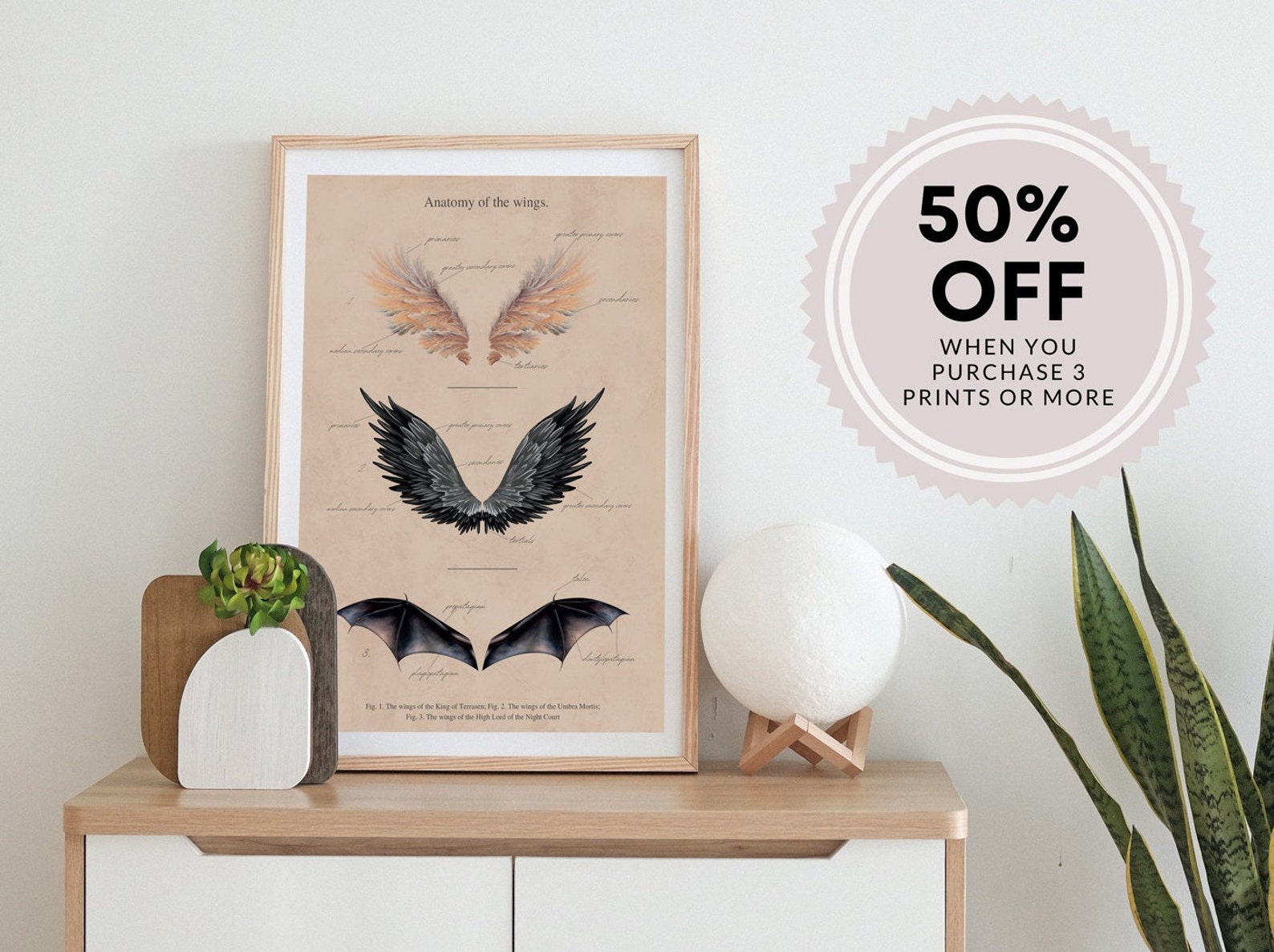 The Wings Acotar Throne of Glass Crescent City Sarah J - Etsy Australia