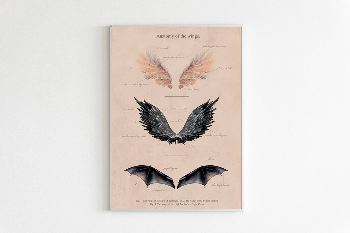 The Wings Acotar Throne of Glass Crescent City Sarah J - Etsy Australia