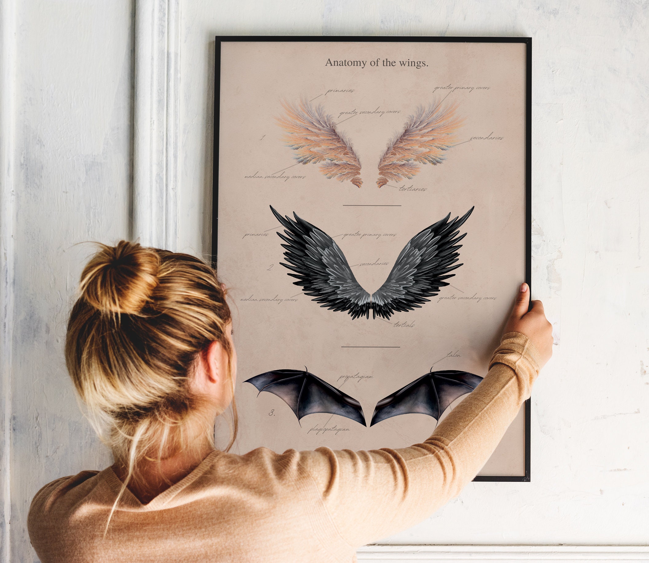 The Wings Acotar Throne of Glass Crescent City Sarah J - Etsy Australia