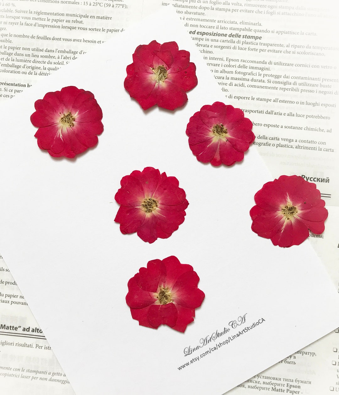 6 Pcs Pressed Red Rose Flowers - Epoxy Resin, Card Making, Pressed ...