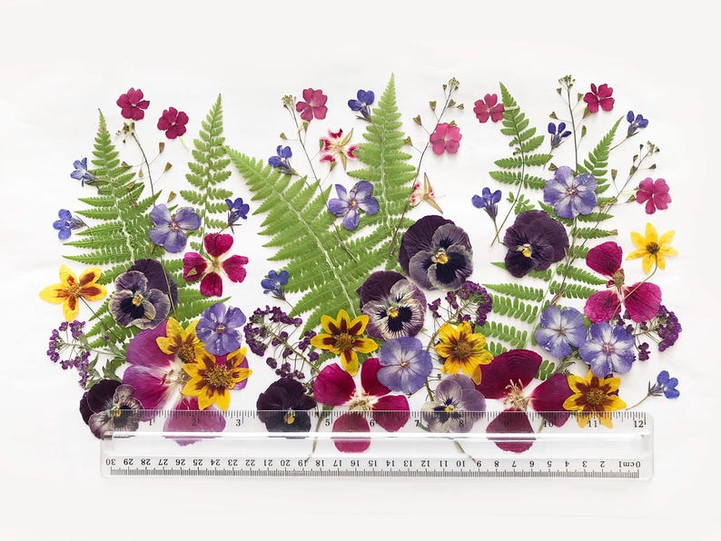 50+ Mixed Edible Pressed Flowers & Leaves, Food-safe Flowers, Cake ...