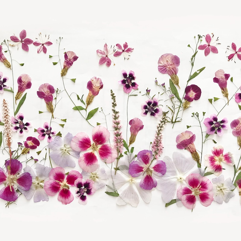 Edible Flowers for Pastry - Etsy