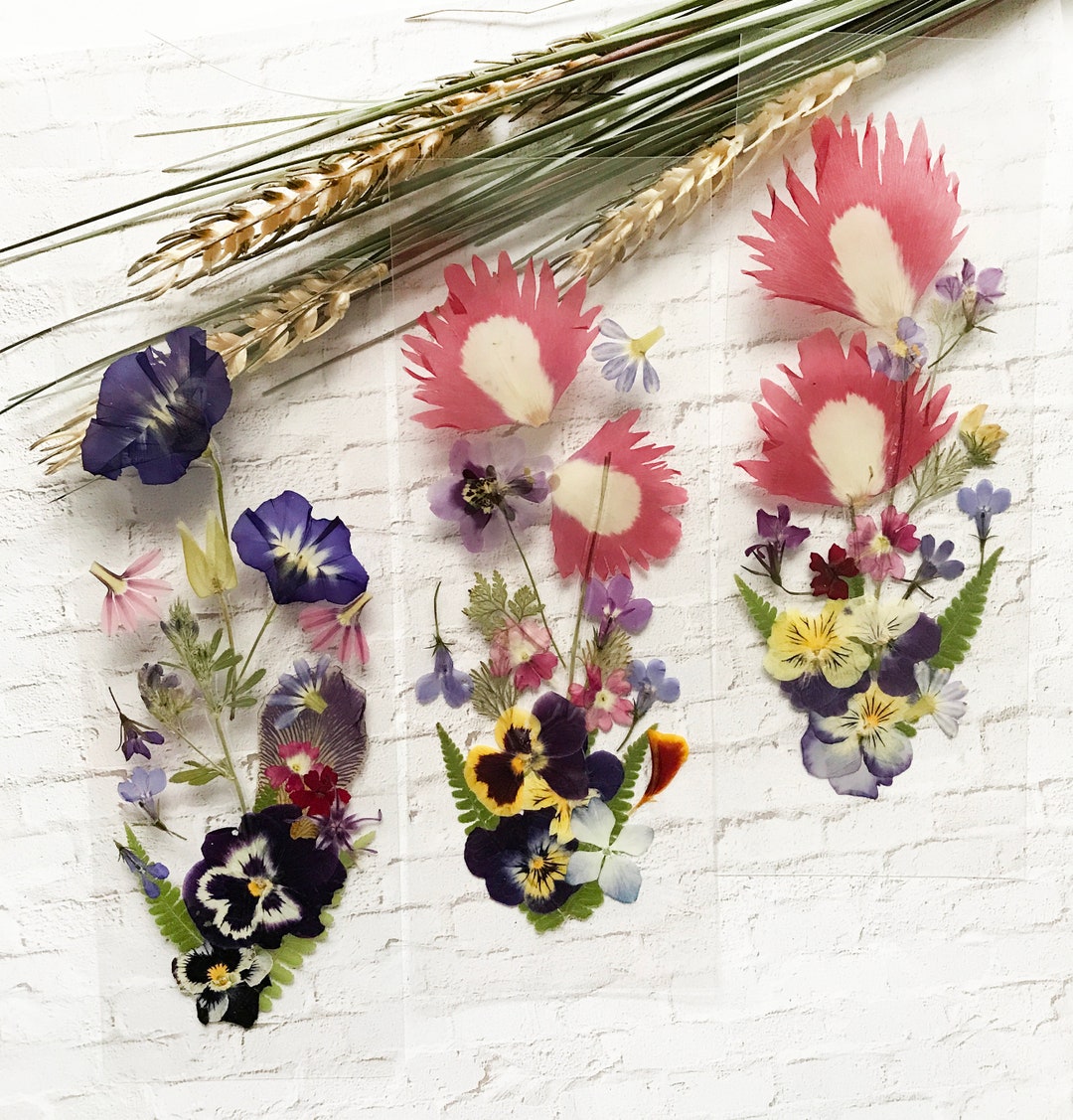Pressed Flower Bookmarks Clear Laminated Bookmarks Unique - Etsy