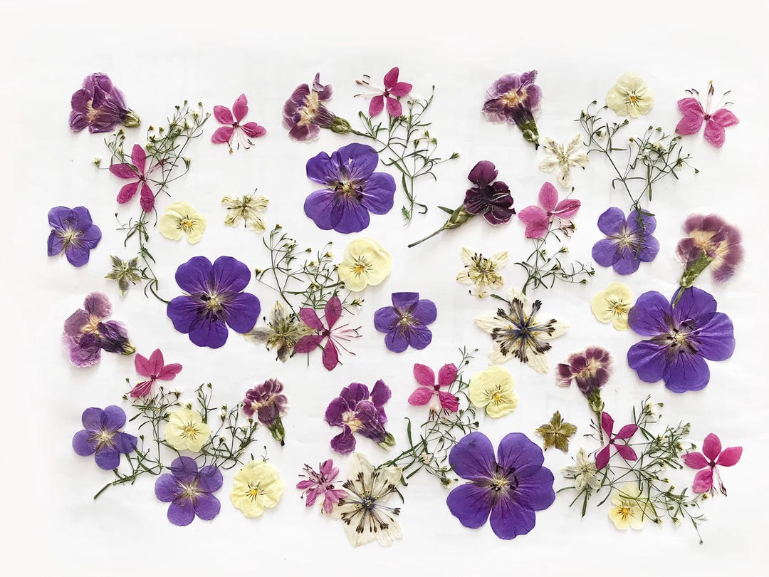 50+ Mixed Edible Pressed Flowers & Leaves, Food-safe Flowers, Cake ...