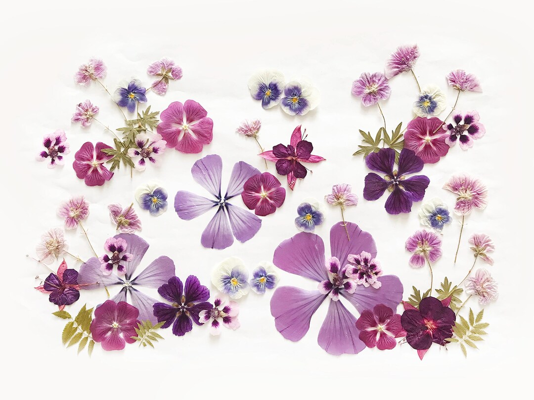 50+ Mixed Edible Pressed Flowers & Leaves, Food-safe Flowers, Cake ...