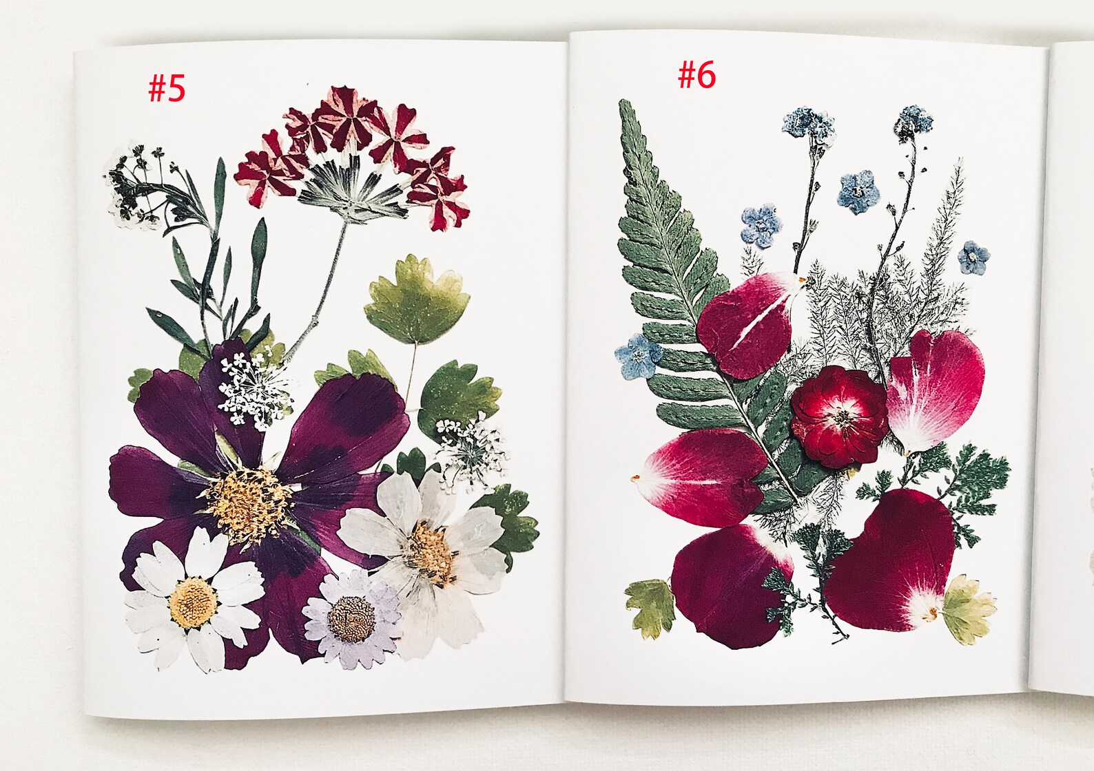 Pressed Flower PRINT Cards Customizable Greeting Card Folded Assorted ...