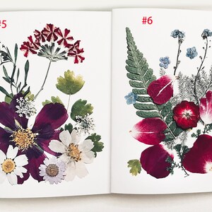 Pressed Flower PRINT Cards - Customizable Greeting Card - Folded ...