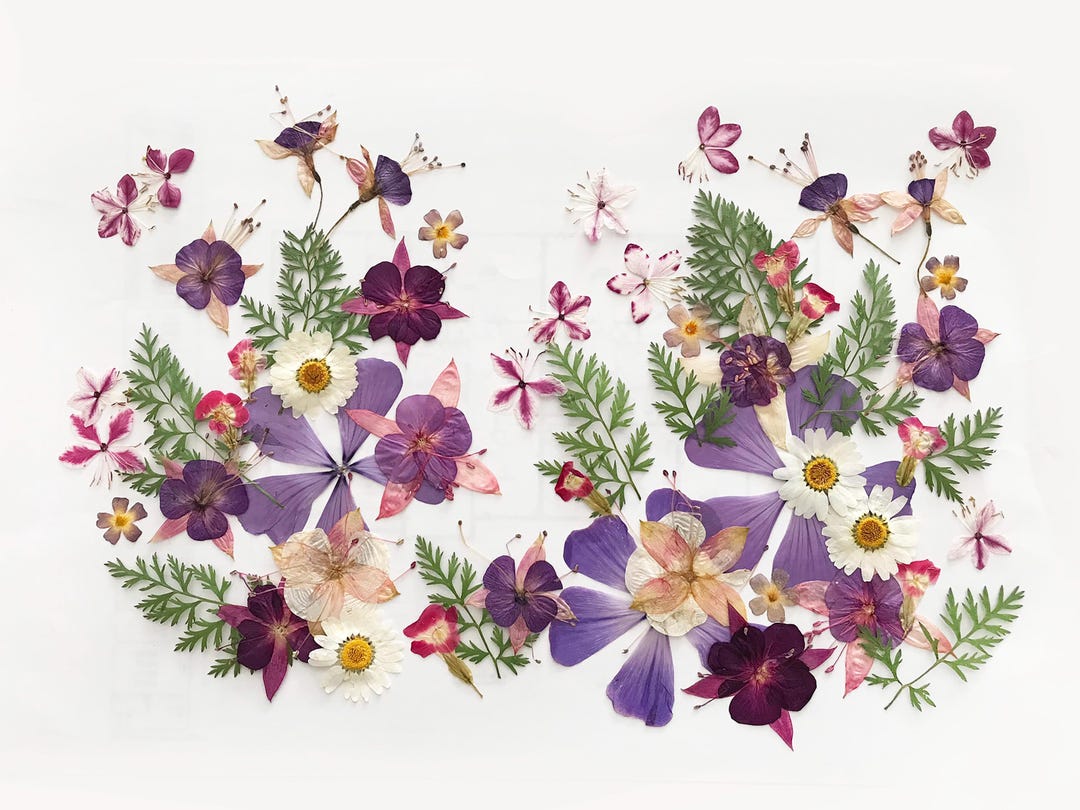 50+ Mixed Edible Pressed Flowers & Leaves, Food-safe Flowers, Cake ...
