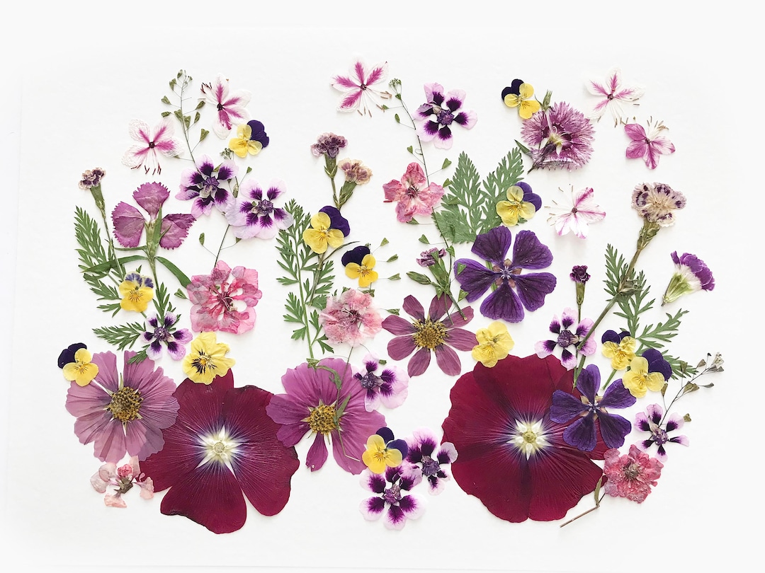 50+ Mixed Edible Pressed Flowers & Leaves, Food-safe Flowers, Cake ...