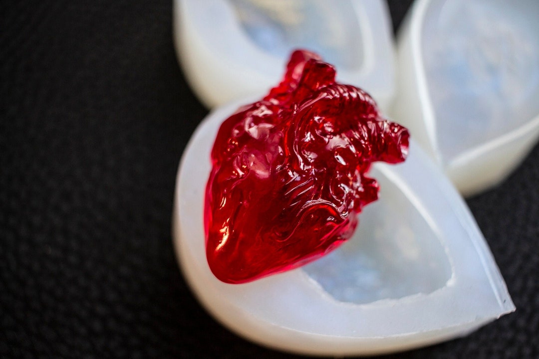 Heart Silicone Mold - Anatomical Heart - Jewelry Making Mold - Etsy