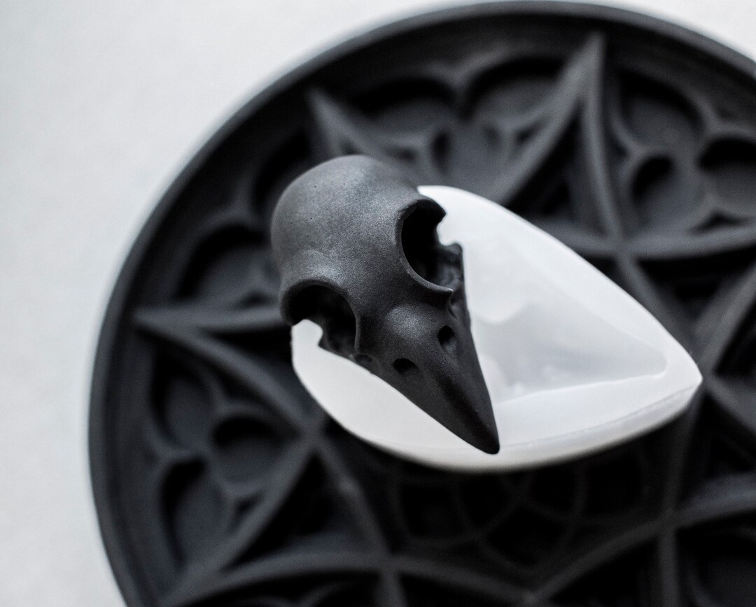 Bird Skull Mold - Food Grade Silicone, Suitable for Epoxy Resin, Small ...
