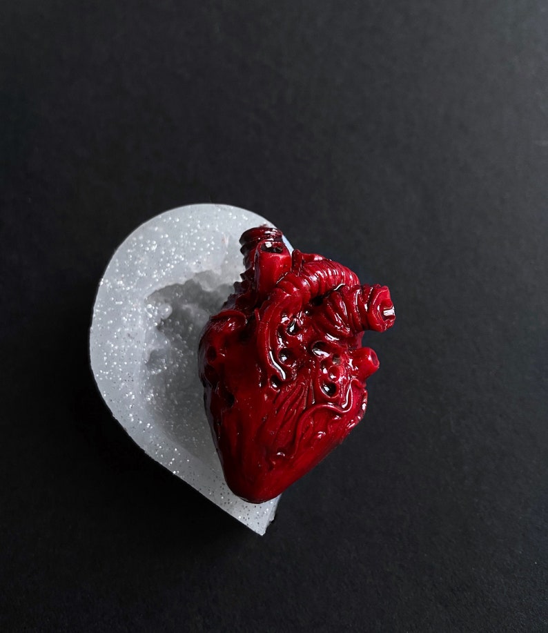 Heart Silicone mold Anatomical Heart Jewelry Making Mold | Etsy