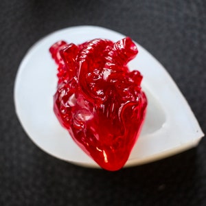 Heart Silicone mold Anatomical Heart Jewelry Making Mold | Etsy