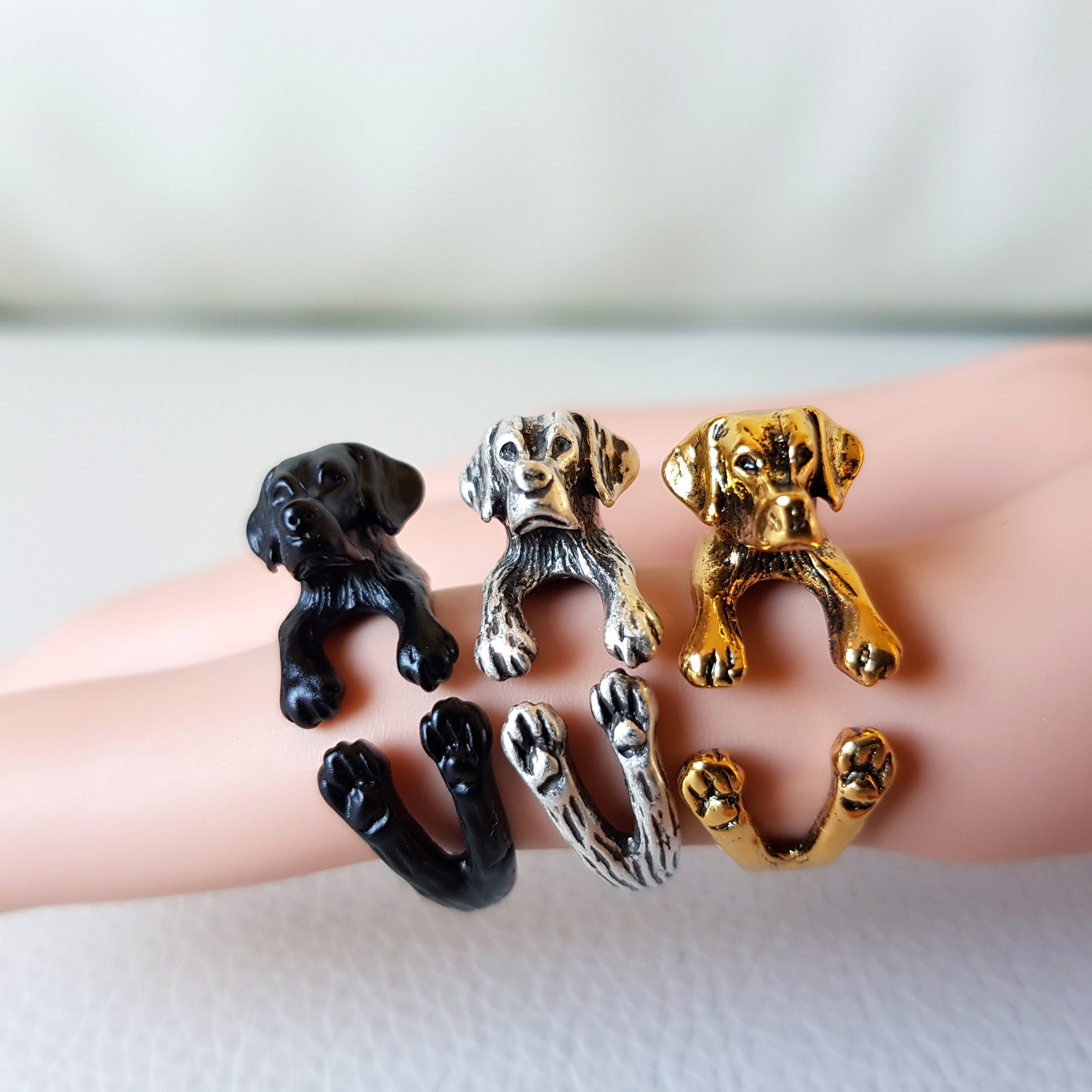 Dog Ring Ubicaciondepersonas cdmx gob mx dog-ring-ubicaciondepersonas-cdmx-gob-mx