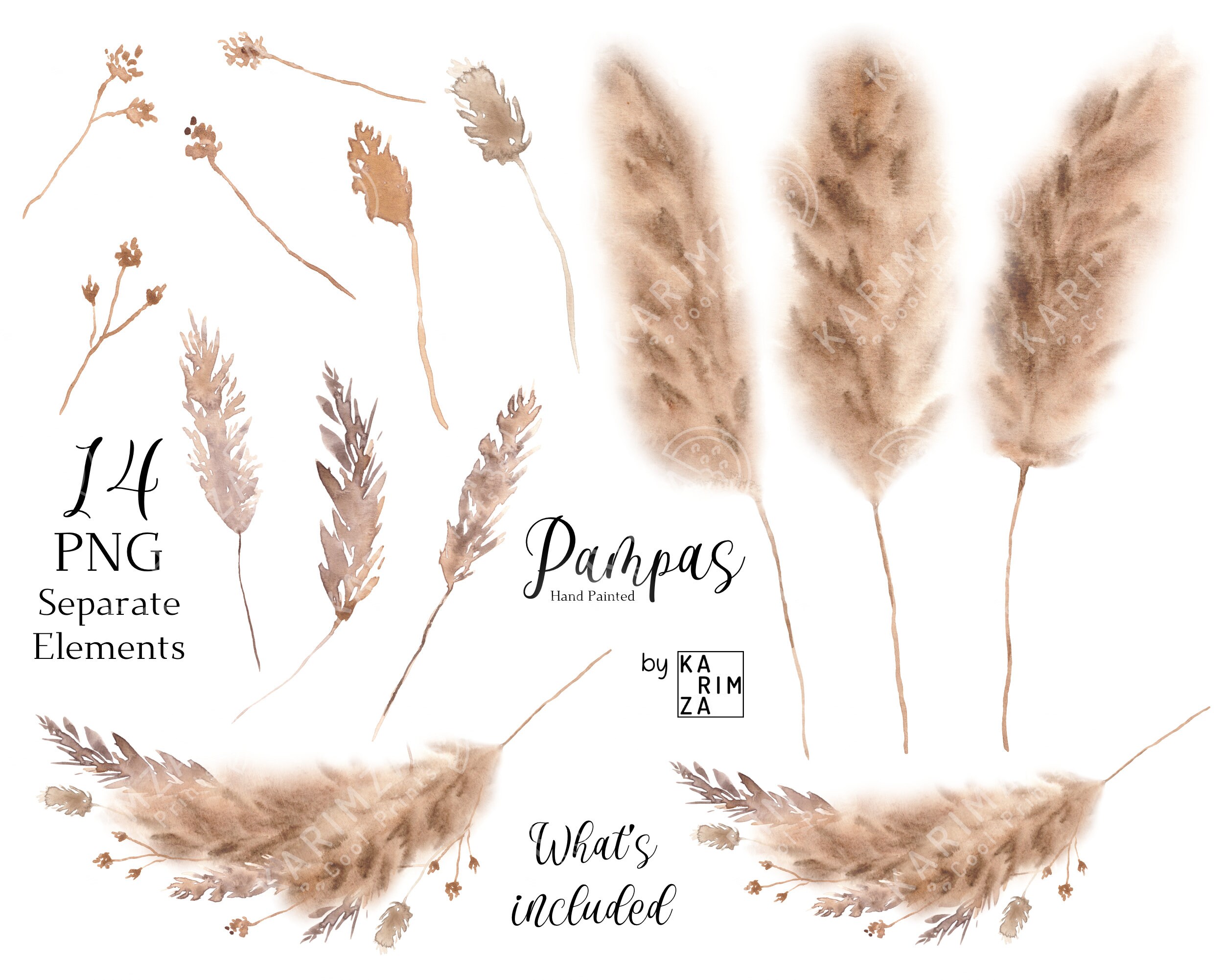 Pampas Grass Clipart Boho Neutral Colors WATERCOLOR Clip Art - Etsy