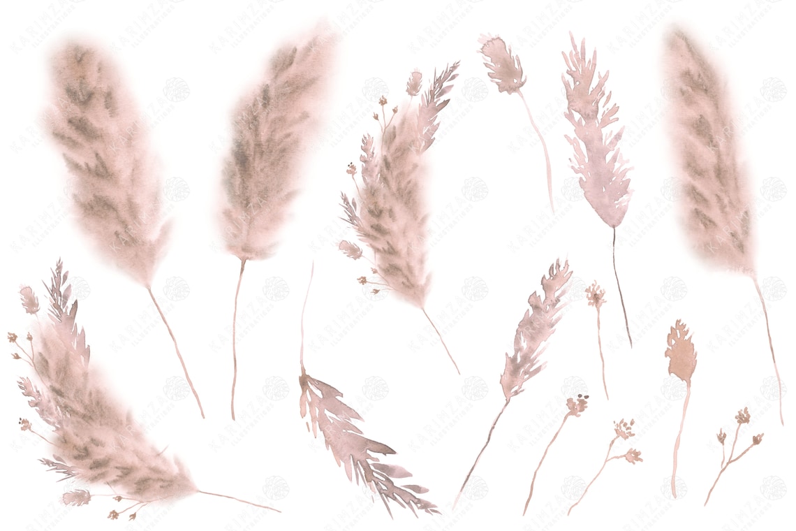 Pampas Grass Clipart Dry Flowers PNG Clipart Creamy Pampas - Etsy