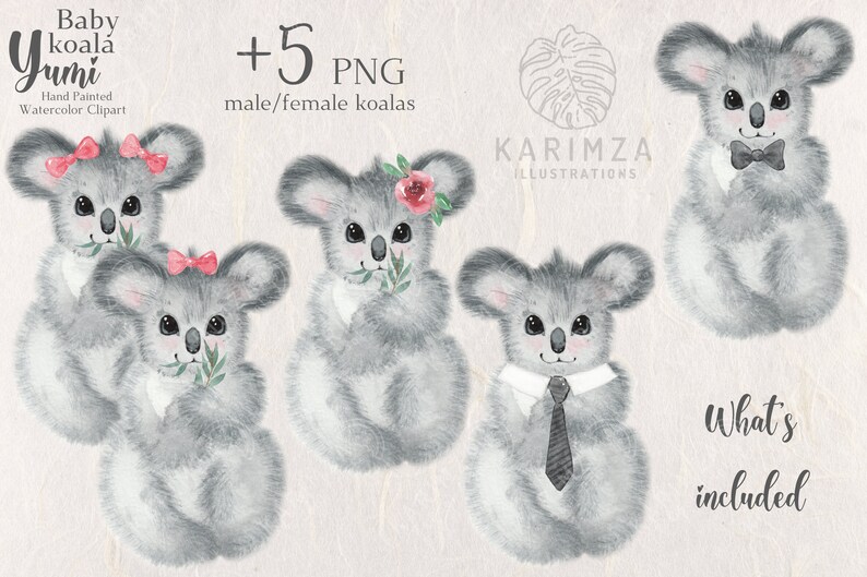 Watercolor Koala PNG Clipart Baby Shower Invitation Boy Girl - Etsy