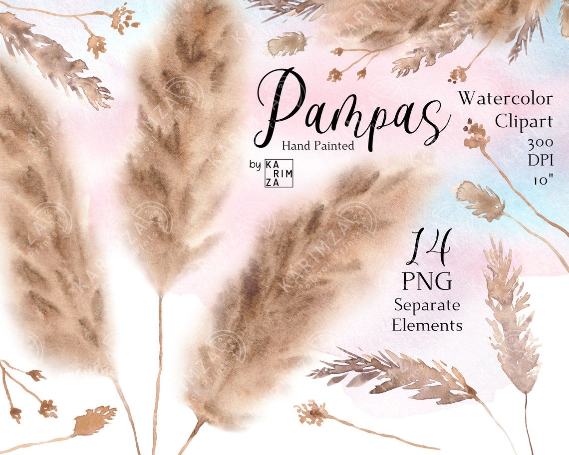Pampas Grass Clipart Boho Neutral Colors WATERCOLOR Clip Art - Etsy