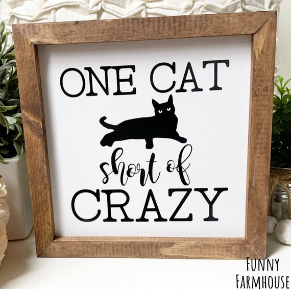 One Cat Short or Crazy Sign Cat Lover Sign Funny Cat Sign | Etsy