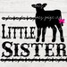 Chasing Buckles PIG Digital File Sublimation Show Pig Design Pig ...