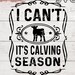 Calving Season SVG | Sublimation | I Can't It's Calving Season | Steer ...