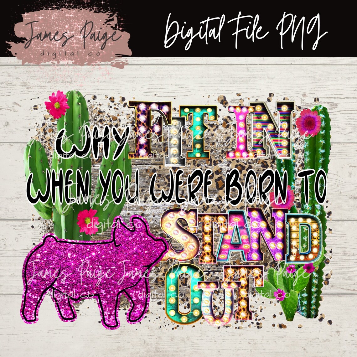 Why Fit in Show Pig Digital pig Sublimation Png Show Pig - Etsy