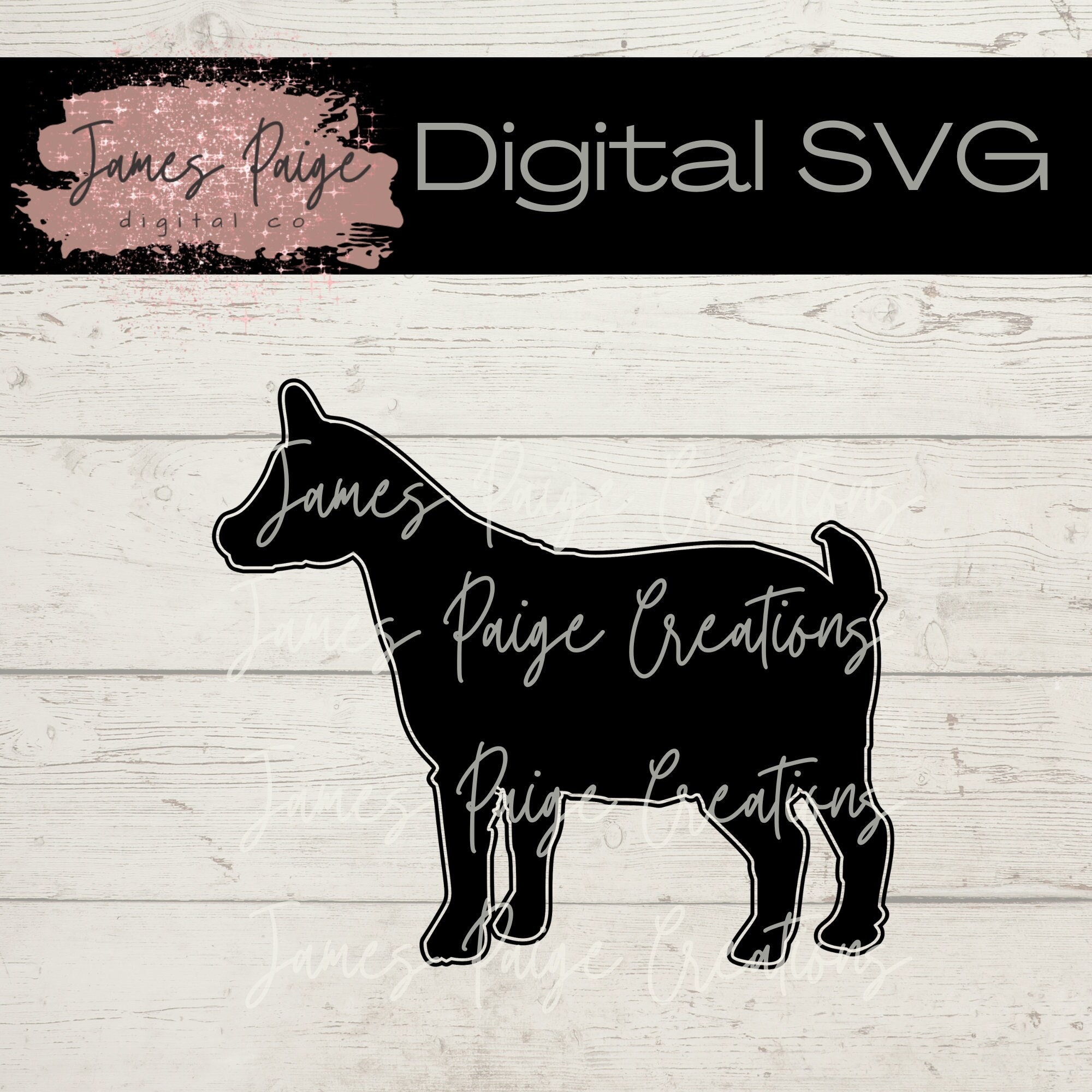 Pygmy Goat SVG File: Stock Show Design (digital Download) - Etsy