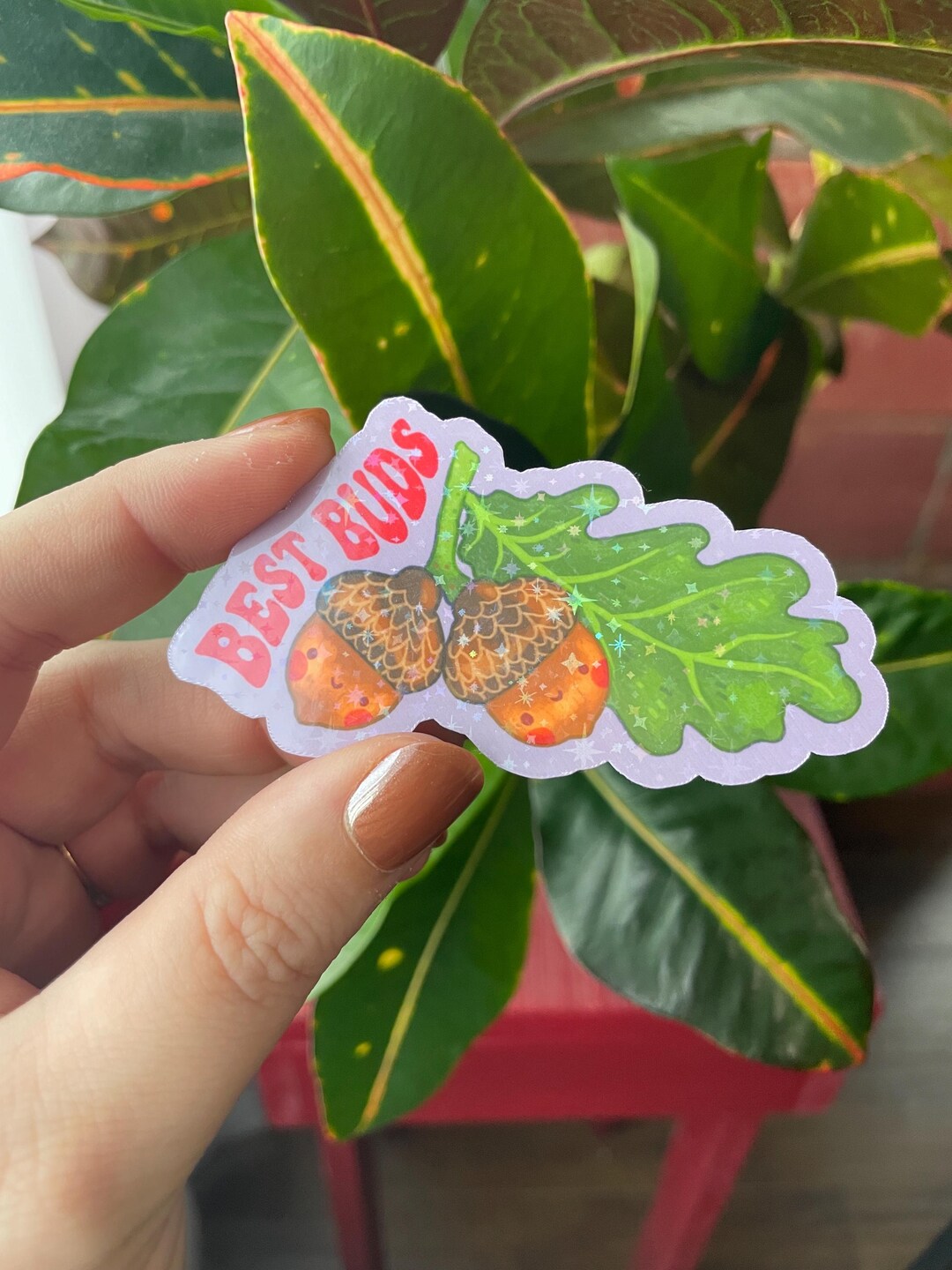 Best Buds 3inch Star Holographic Sticker - Etsy