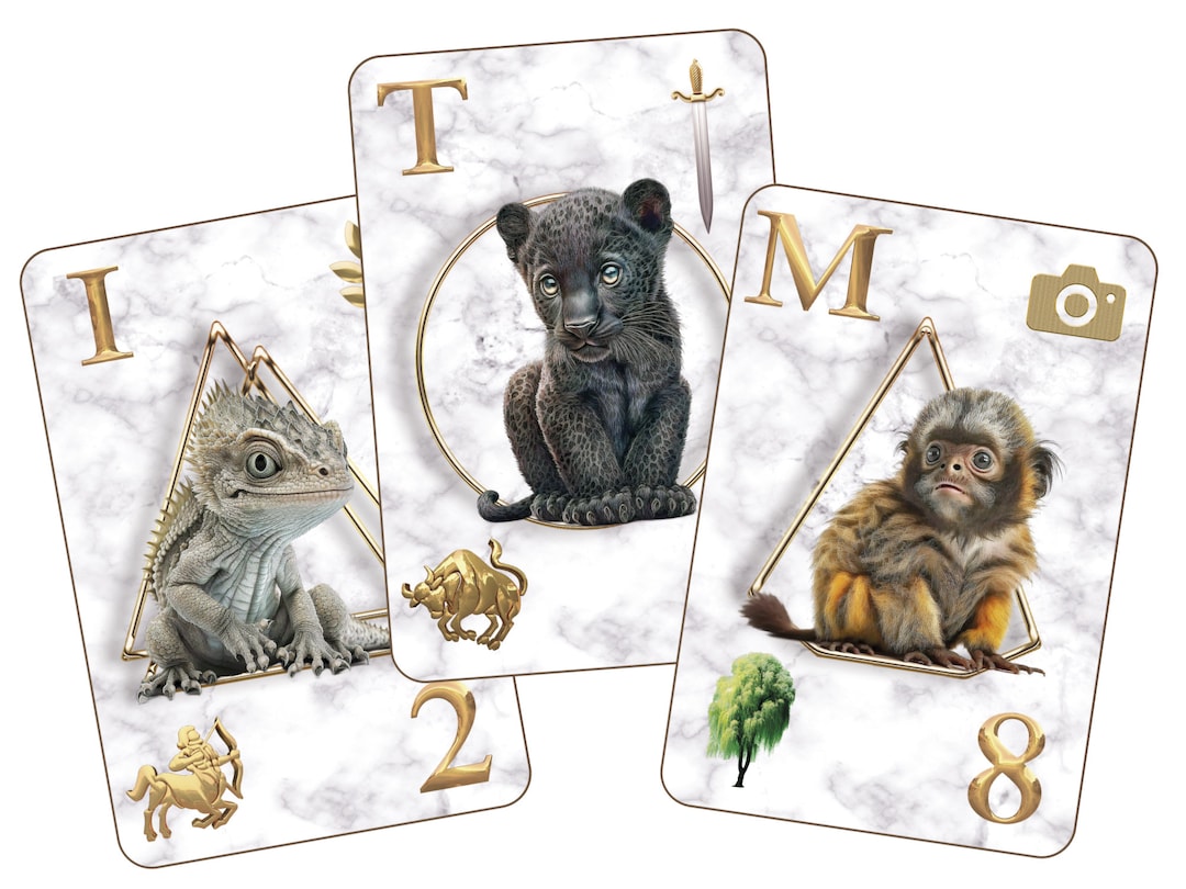 Signs of Destiny Oracle Deck | 30 Laminated Cards With Numbers, Letters ...