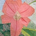 Daylily (quilt Pattern) - Etsy