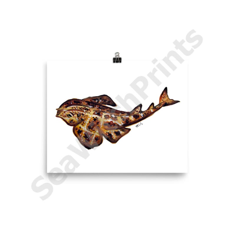 Angel Shark, Art Print, 8 X 10 Inches, Shark Artwork, Shark Poster ...