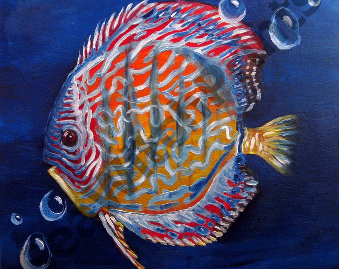 Discus Fish, Art Print, 10 X 10 Inches, Square, Oil Painting, Aquarium ...
