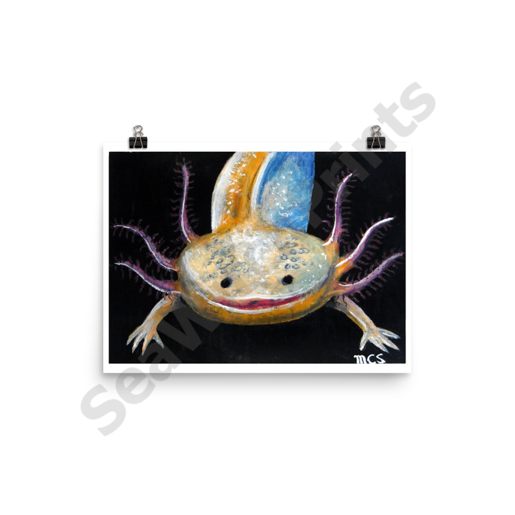 Axolotl Art Print 12 x 16 pouces Axolotl mignon Affiche | Etsy