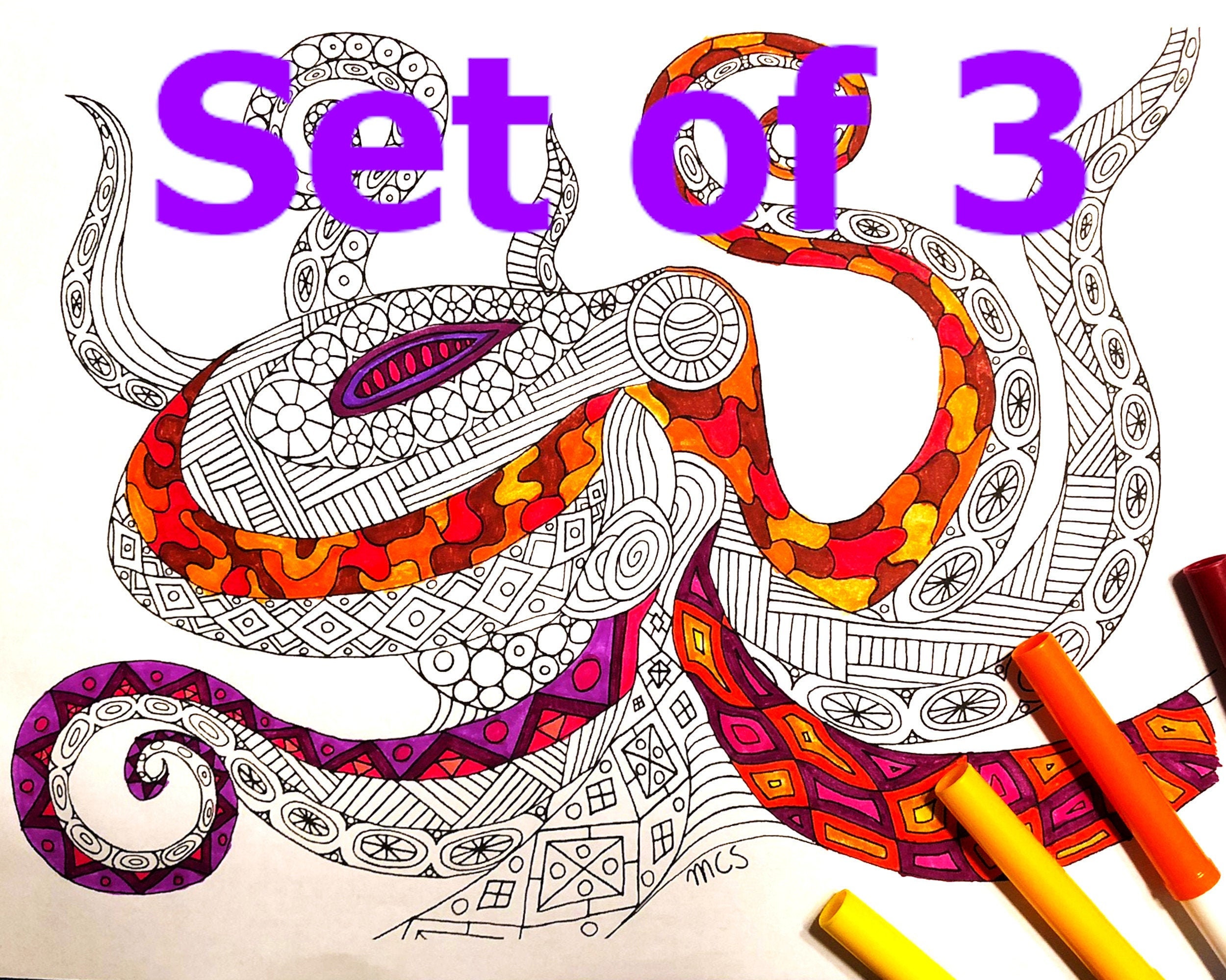 Coloring Pages Of Invertebrates