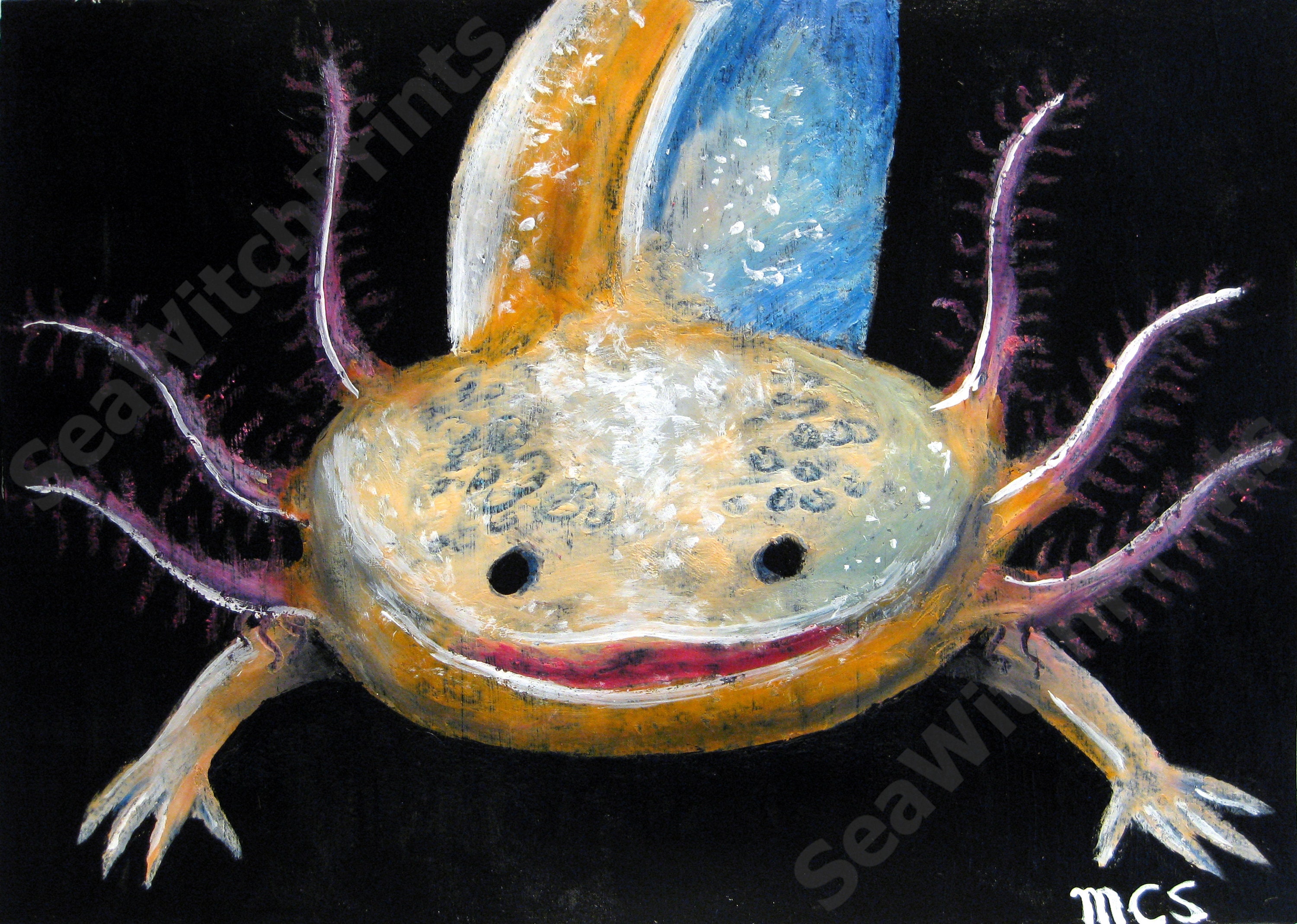 Axolotl Art Print 12 x 16 pouces Axolotl mignon Affiche | Etsy