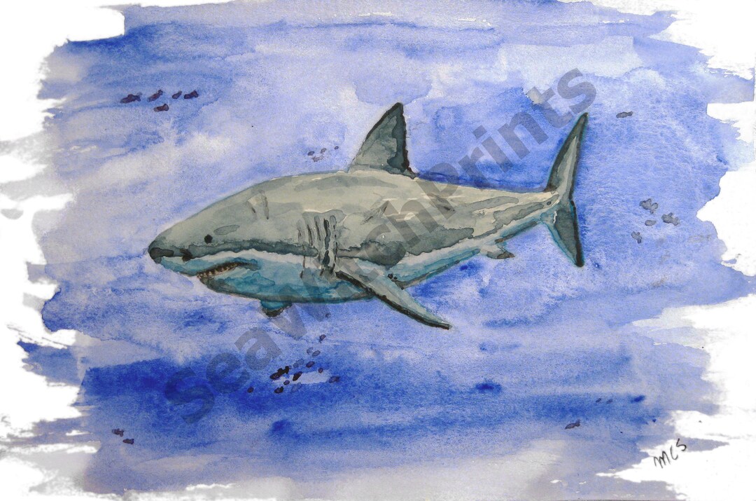 Great White Shark, Art Print, 8 X 10 Inches, Ocean Artwork, Shark ...