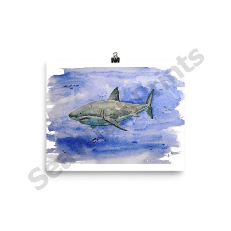 Great White Shark Art Print 8 X 10 Inches Ocean Artwork - Etsy