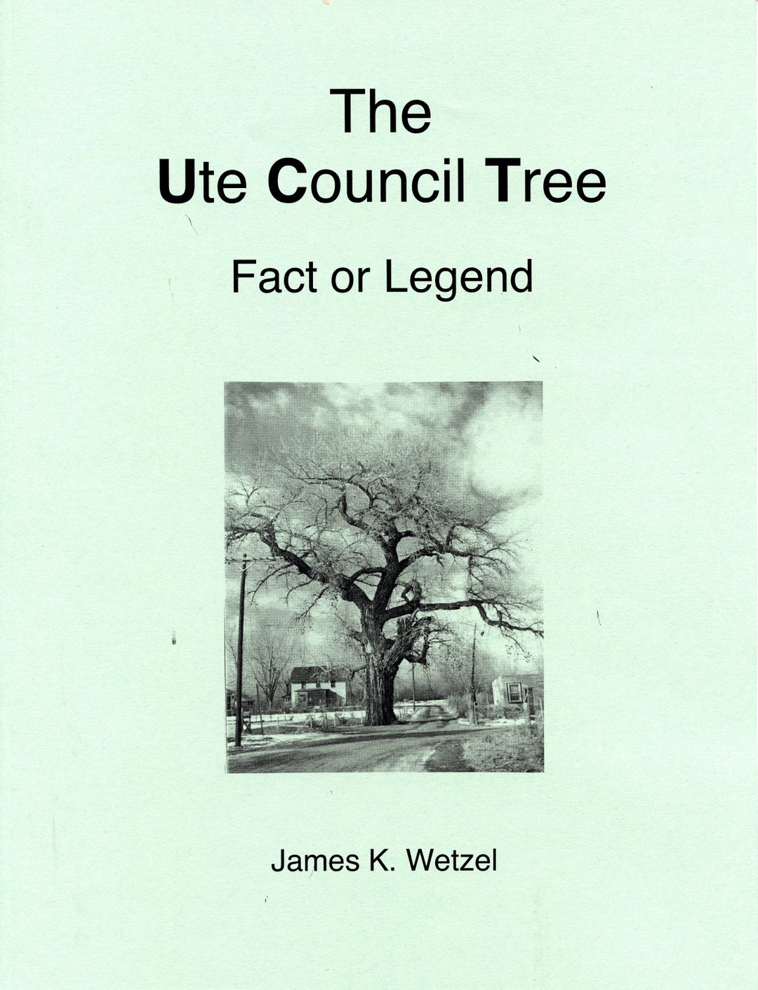The Ute Council Tree, Fact or Legend -historical Native American ...