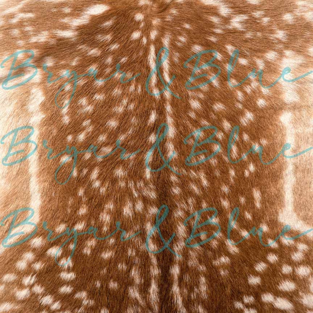 Axis Deer Hide Background Digital Paper / Digital JPG Download ...