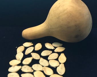 Tennessee Spinner Gourd Seeds - Etsy