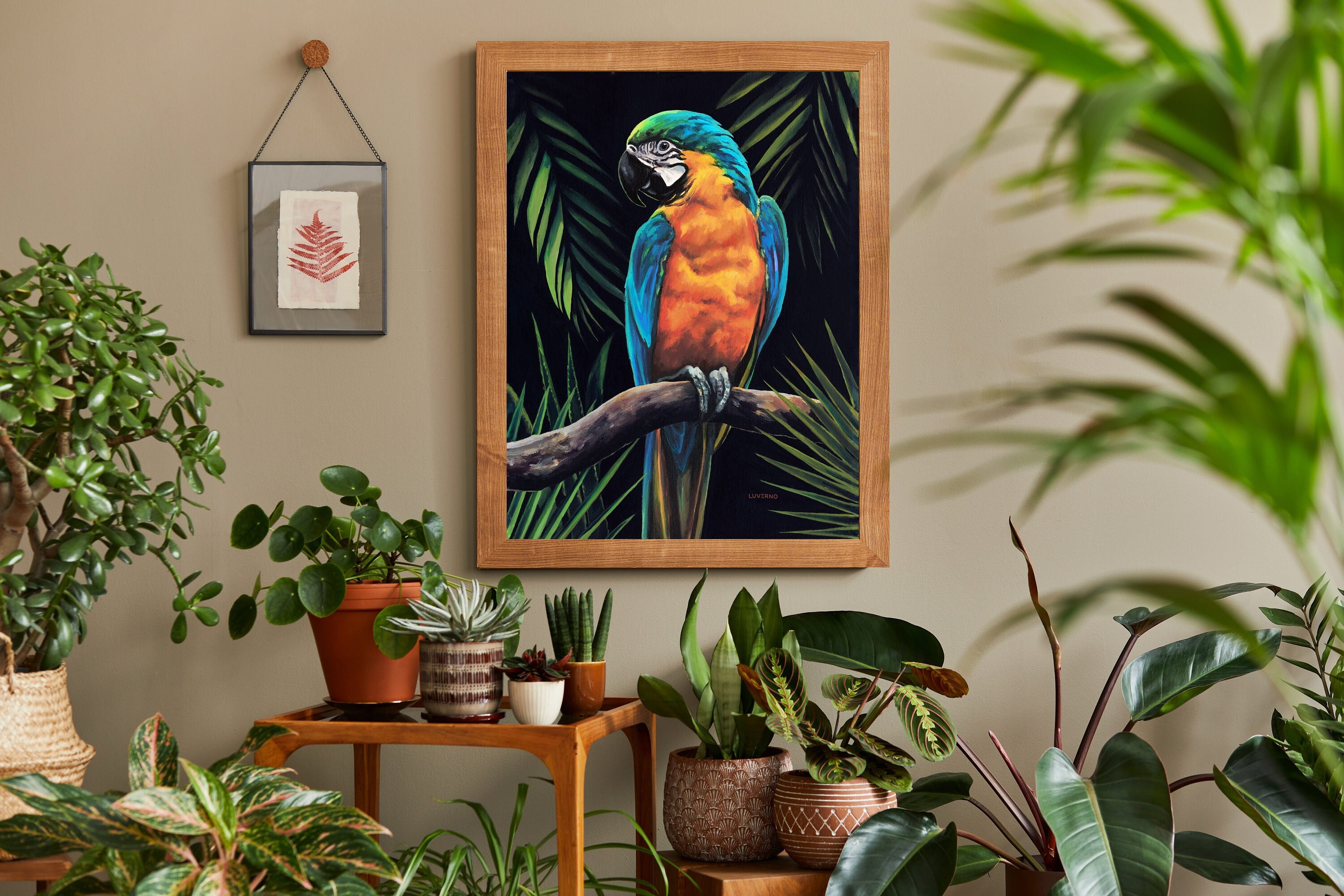 Parrot Print for Tropical Wall Decor Parrot Poster Macaw - Etsy