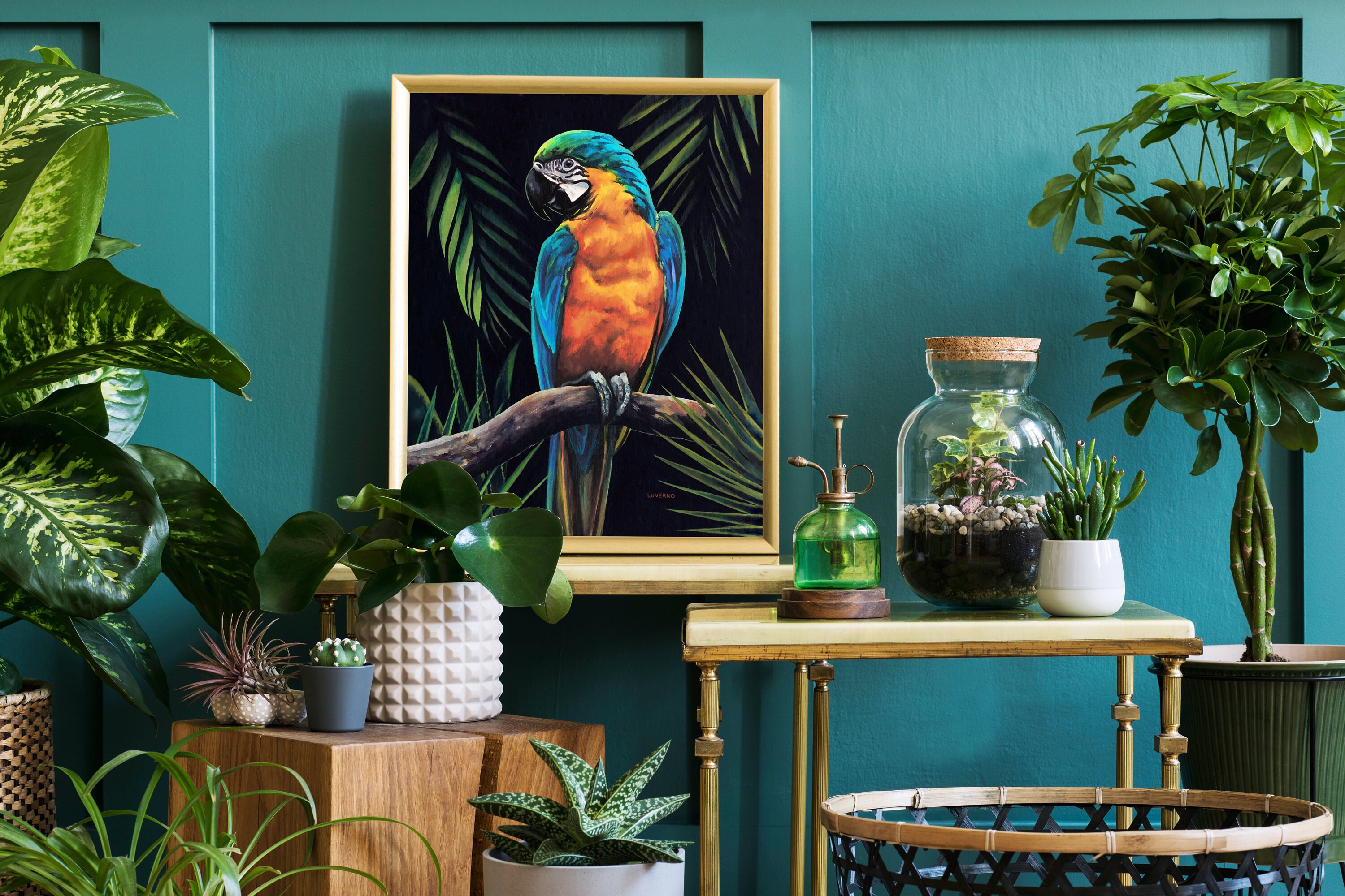 Parrot Print for Tropical Wall Decor Parrot Poster Macaw - Etsy