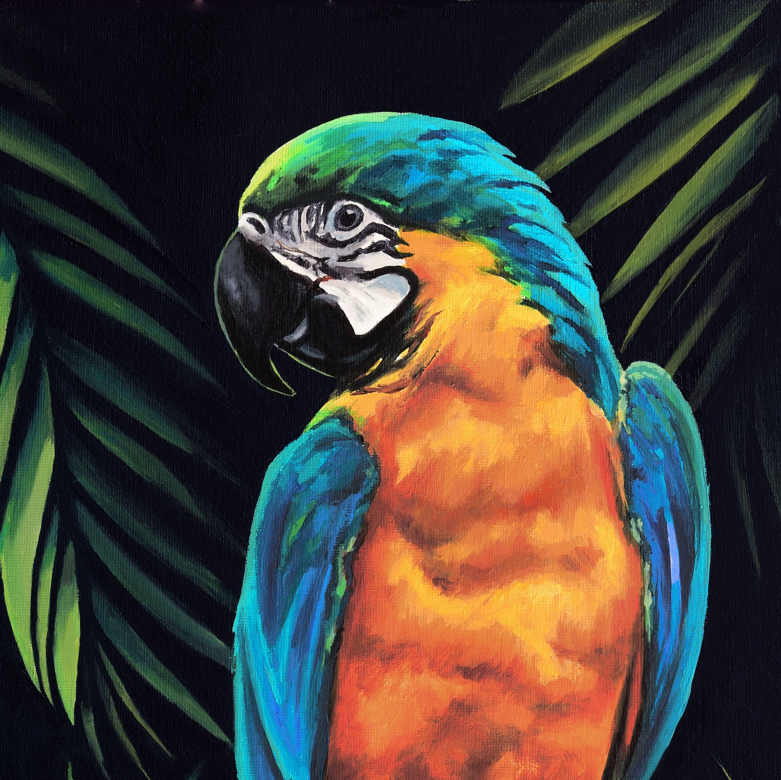 Parrot Print for Tropical Wall Decor Parrot Poster Macaw - Etsy UK