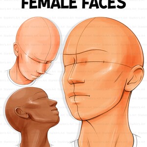 Procreate Body Stamps, Procreate Female Figures Stamp, Procreate Face ...