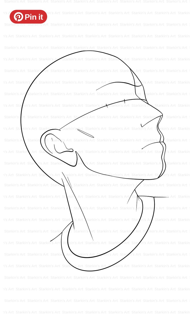 HEAD SHAPES COLORING coloring Pages Coloring Book Procreate - Etsy