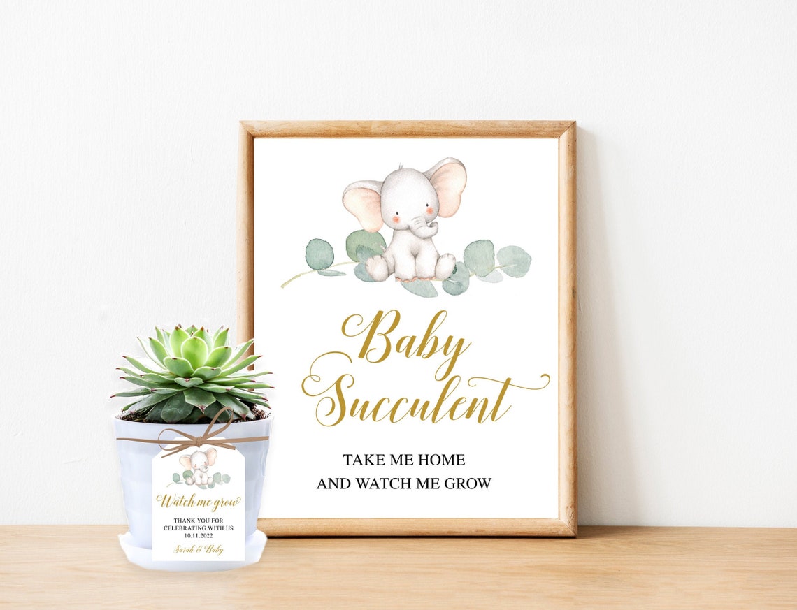 Baby Succulent Sign & Tags Succulent Baby Shower Sign | Etsy