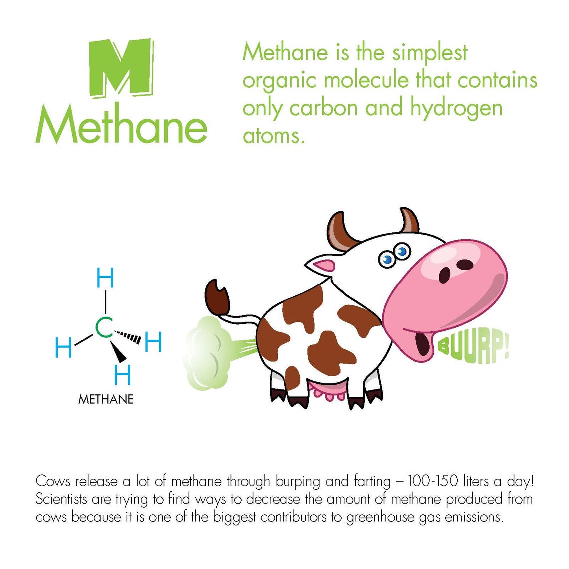 The Organic Chemistry Alphabet Book | Etsy