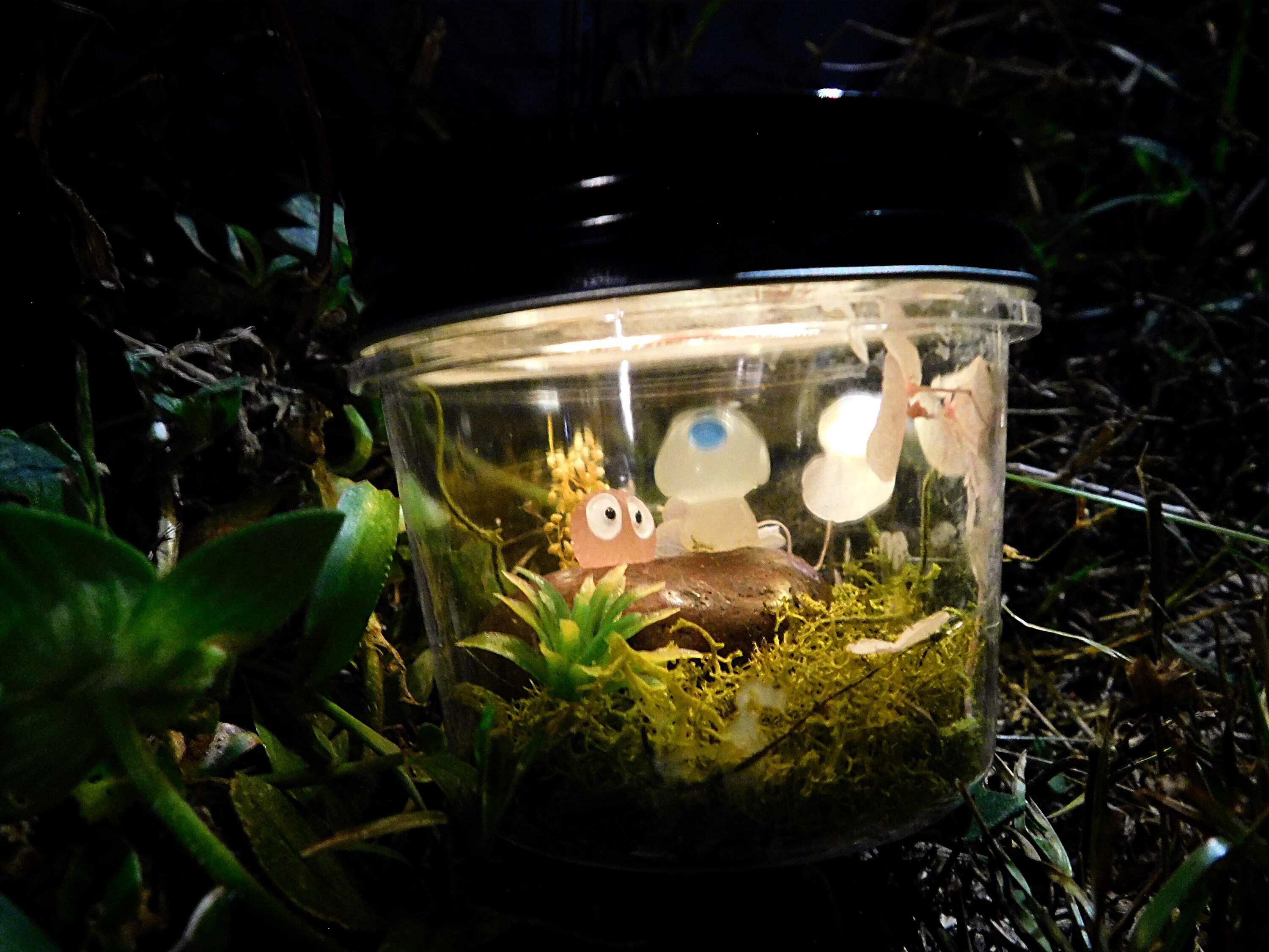 Kodama and Susuwatari soot Sprite Terrariums - Etsy
