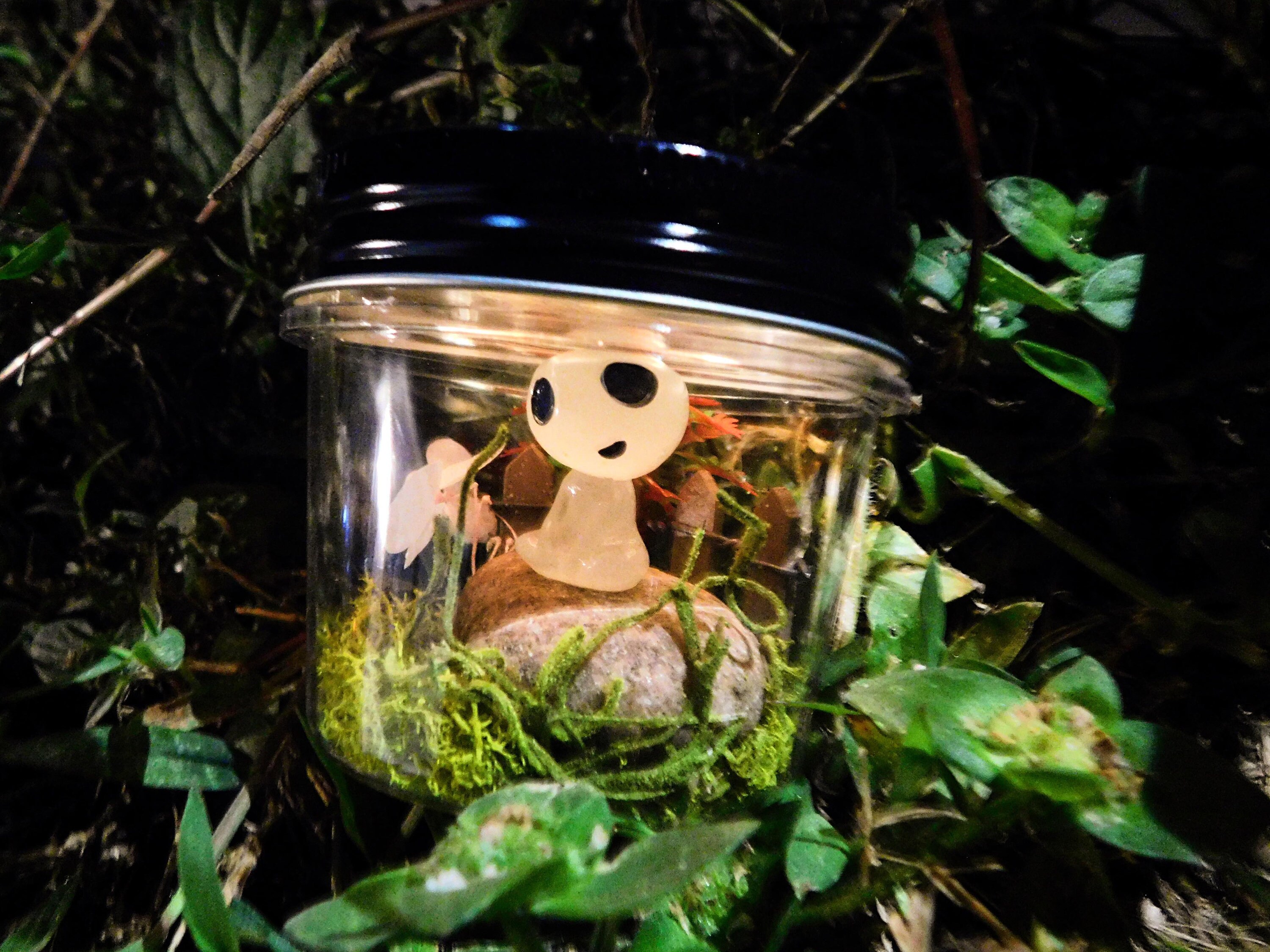 Kodama and Susuwatari soot Sprite Terrariums - Etsy