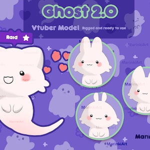 Vtuber - Ghost cat 2.0 - Avatar Live2D de cuerpo completo y completamente manipulado - Etsy México